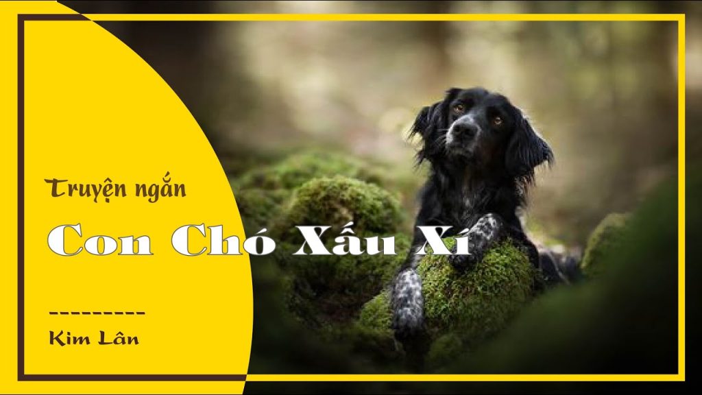 Con chó xấu xí (Kim Lân) ; trắc nghiệm con chó xấu xí ; đọc hiểu con ...